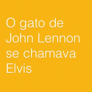 Imagine all the cats - Meme by Ft. furyway :) Memedroid