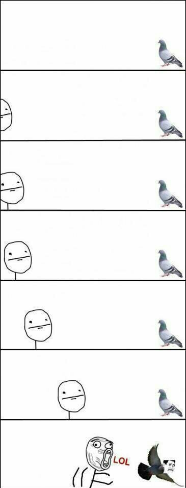 Sempre quando tem um pombo na rua - Meme by FoxyThePirate :) Memedroid