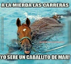 caballito de mar - Meme subido por Silvestack :) Memedroid