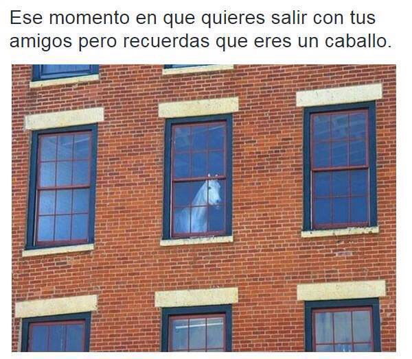 Comprendes - Meme subido por kevin10kk :) Memedroid