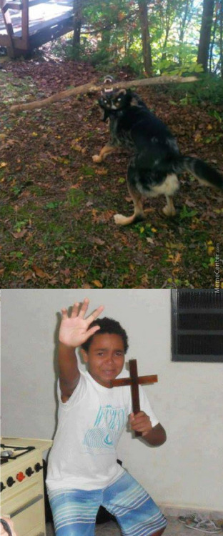 Top memes de Endemoniado en español :) Memedroid