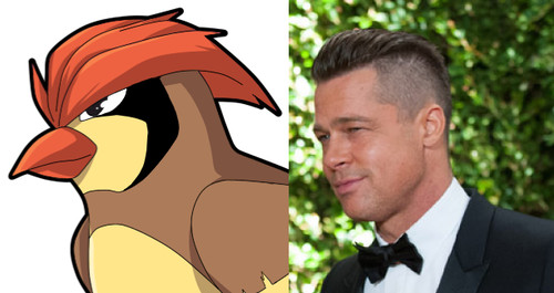 Brad wants to be a Pidgeotto so bad smh - Meme by KillMachine35 ...