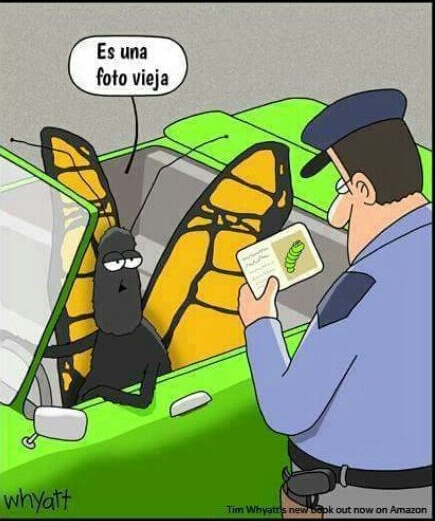 Top memes de Hgfhj en español :) Memedroid