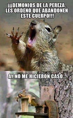 que flojera - Meme subido por hiipercubo :) Memedroid