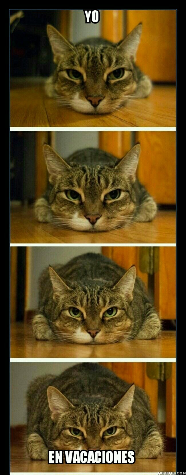 true story - Meme subido por krmn :) Memedroid