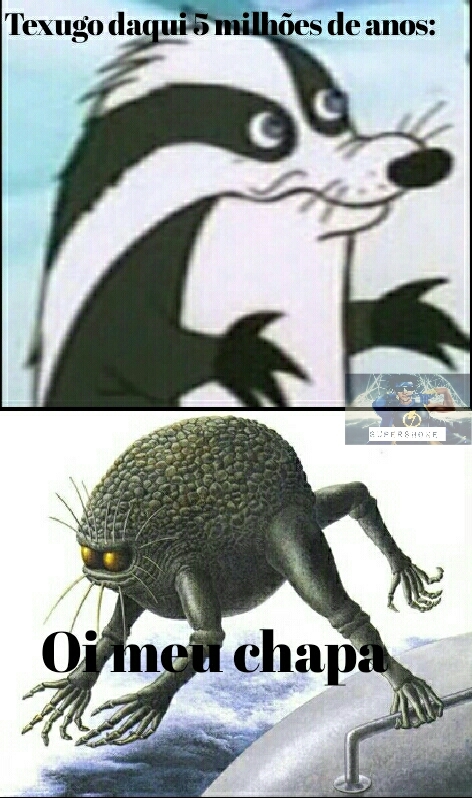 Texugos!! - Meme by SuperShoke :) Memedroid
