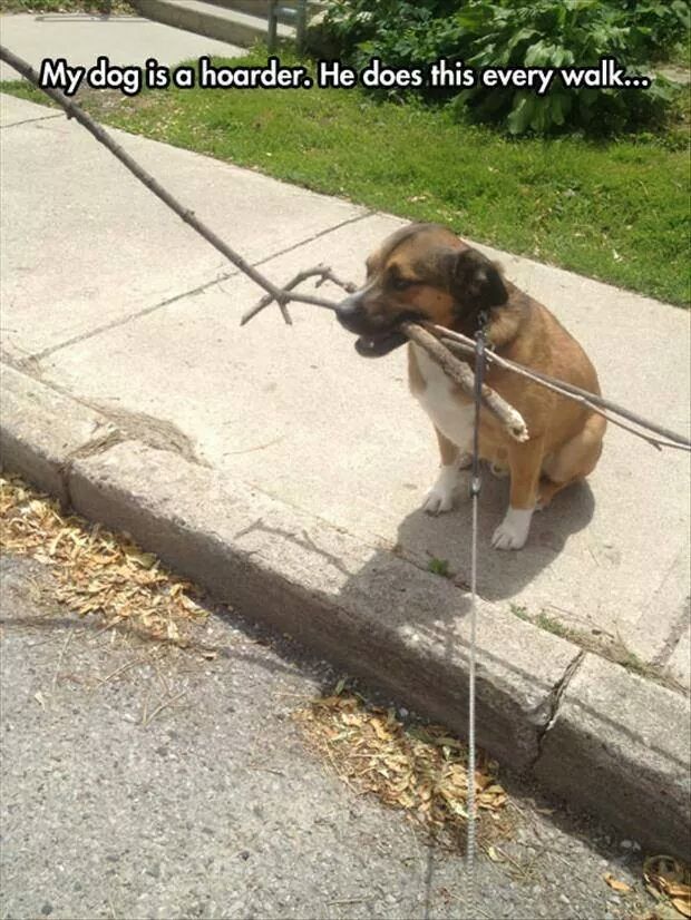 Hoarding - Meme by baystate87 :) Memedroid