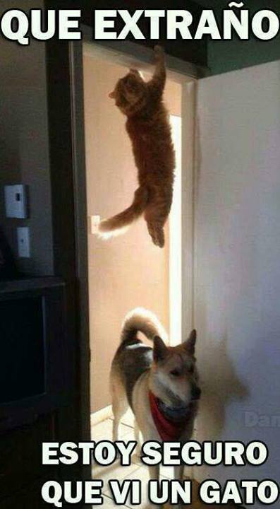 Arriba - Meme by Octascroll :) Memedroid