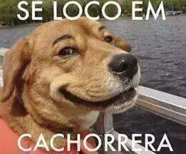 Se loko em - Meme by Yurri :) Memedroid