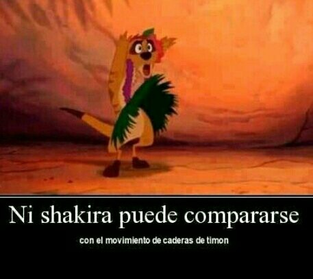 Timon - Meme subido por Cual :) Memedroid
