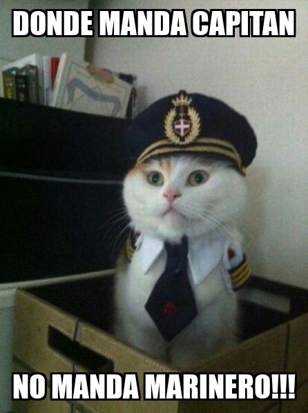 Donde manda!!! - Meme subido por gabriela02 :) Memedroid