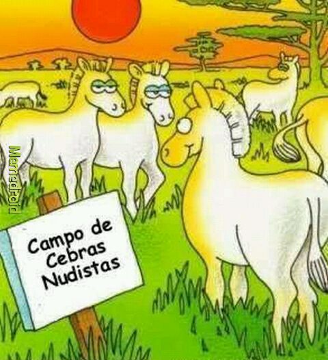 Cebras.. - Meme subido por T88 :) Memedroid