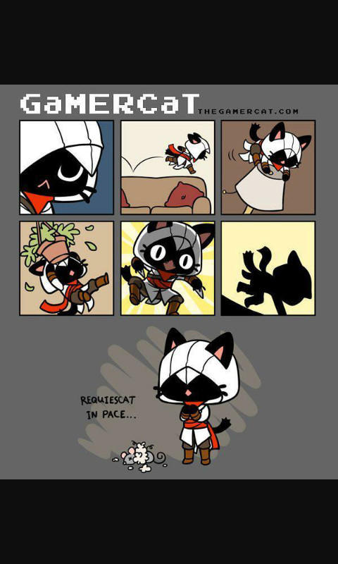 Assassins creed cat version - Meme subido por Gori :) Memedroid