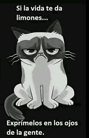 los odio a todos - Meme subido por Chu-vaca :) Memedroid