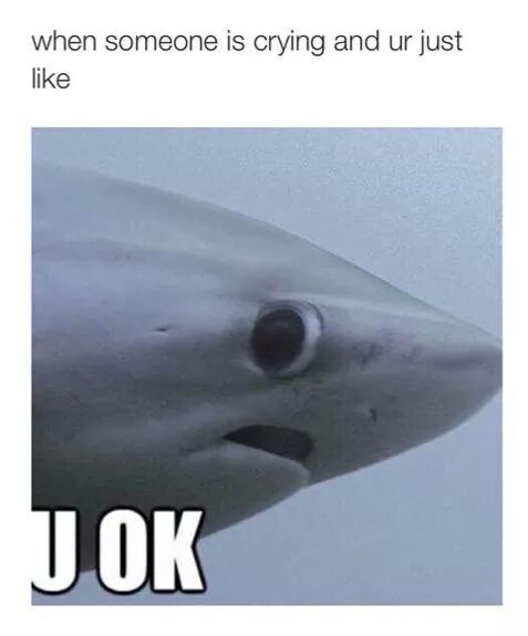 You Ok Meme By 0jkol Memedroid