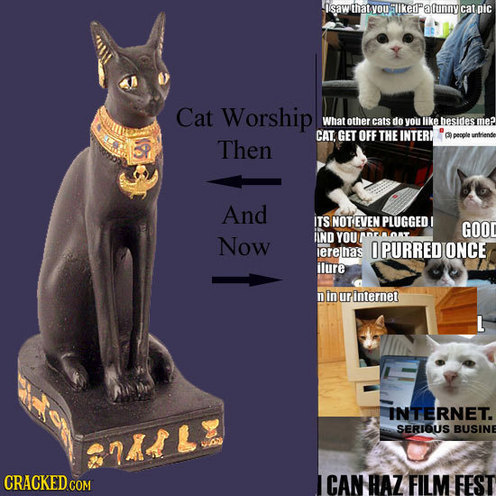 Cat Worship Memes Cats Gods Meme Egyptian
