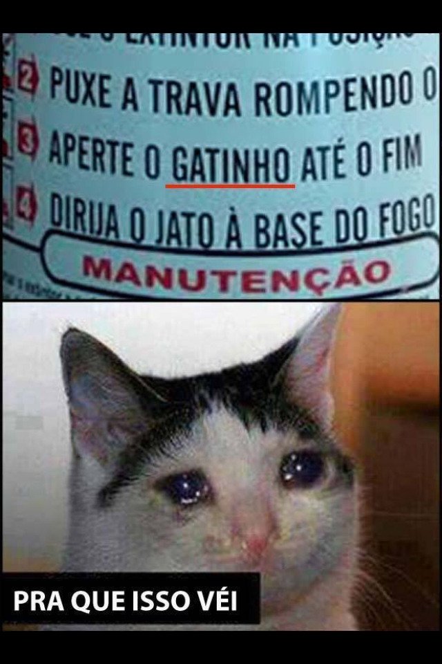 Pq?? - Meme by edypig :) Memedroid