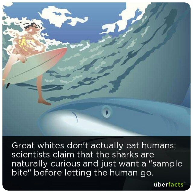 free samples - Meme by zman00000 :) Memedroid