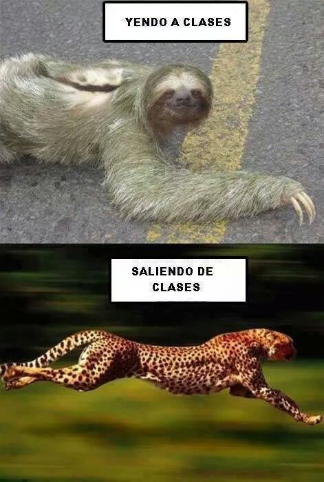 Jaja:( maldita flojera - Meme subido por Pancho_albo.30 :) Memedroid