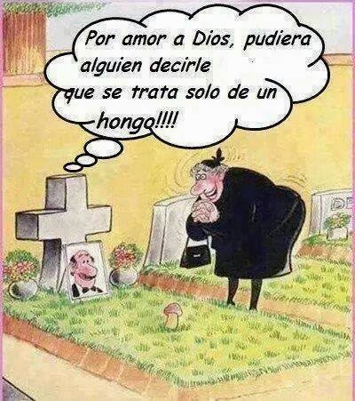 Solo es un hongo!! - Meme by MoisiTOP :) Memedroid