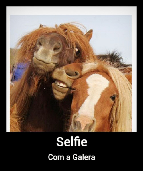 The best Jghf memes :) Memedroid