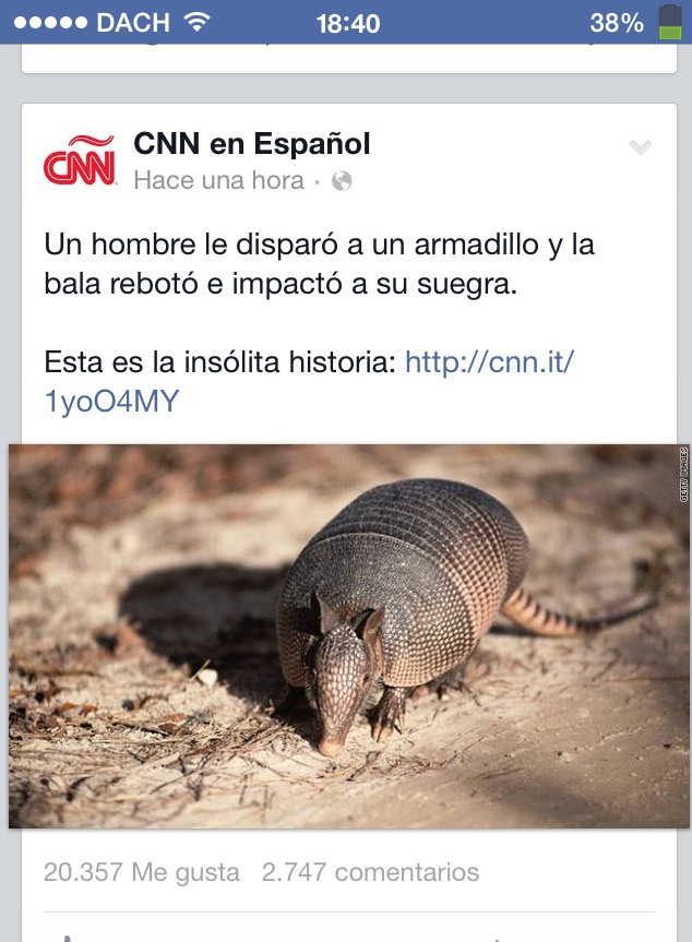 Don armadillo - Meme subido por dach0001 :) Memedroid