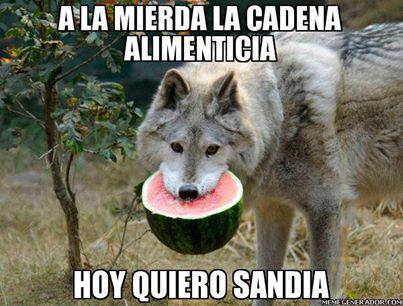 Sandia - Meme subido por DDAANN :) Memedroid