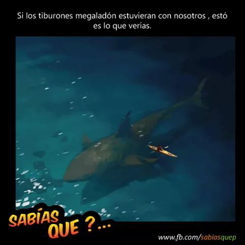 Megalodon *-* - Meme subido por roddycaizachana62 :) Memedroid