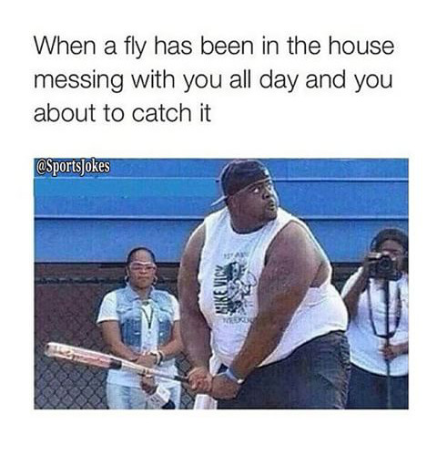 About to kill dat fly - Meme by Ncheese :) Memedroid