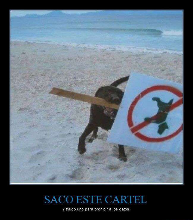 Cartel - Meme subido por soydolphin :) Memedroid