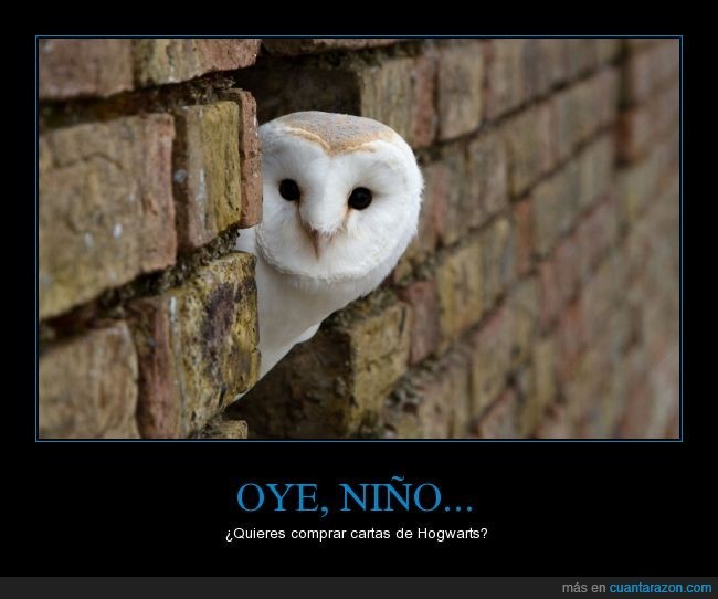 Contrabando - Meme subido por OmarGJ :) Memedroid