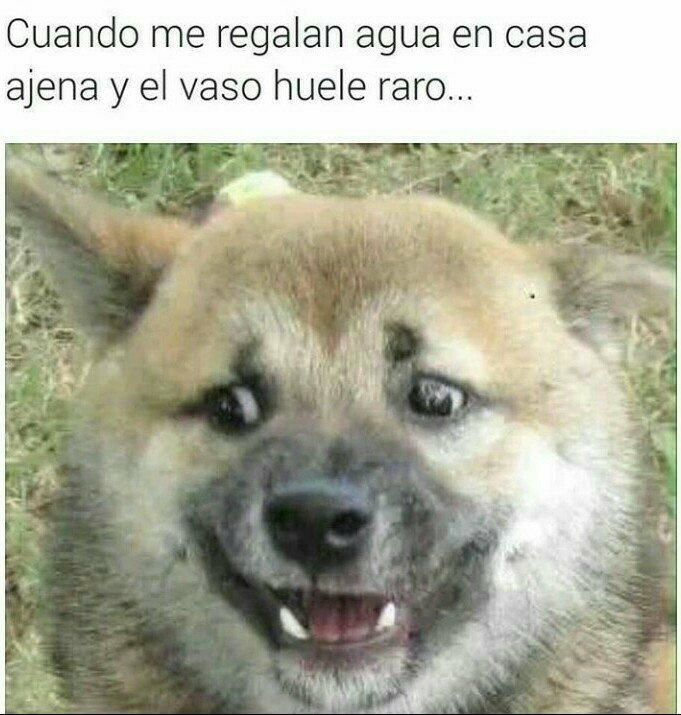 Eeee - Meme by davidSerfaty :) Memedroid