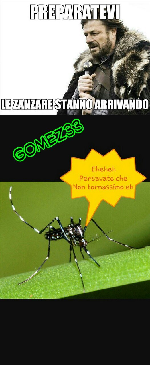 Scorrere giù Zanzare - Meme subido por gomez33 :) Memedroid