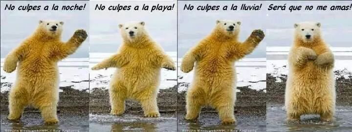 Y como dice - Meme subido por Drzbrayanz :) Memedroid