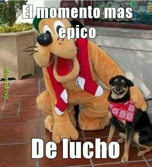 El momento mas epico de lucho - Meme subido por super-_-lg :) Memedroid