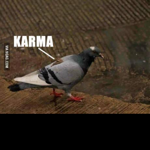 Karma - Meme by asdff :) Memedroid