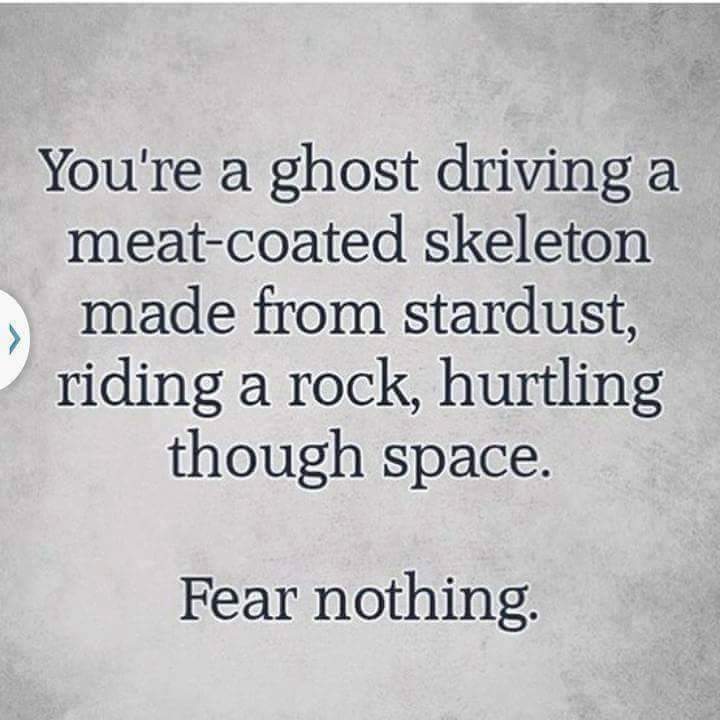 Fear nothing - Meme by Lone_wolf69 :) Memedroid