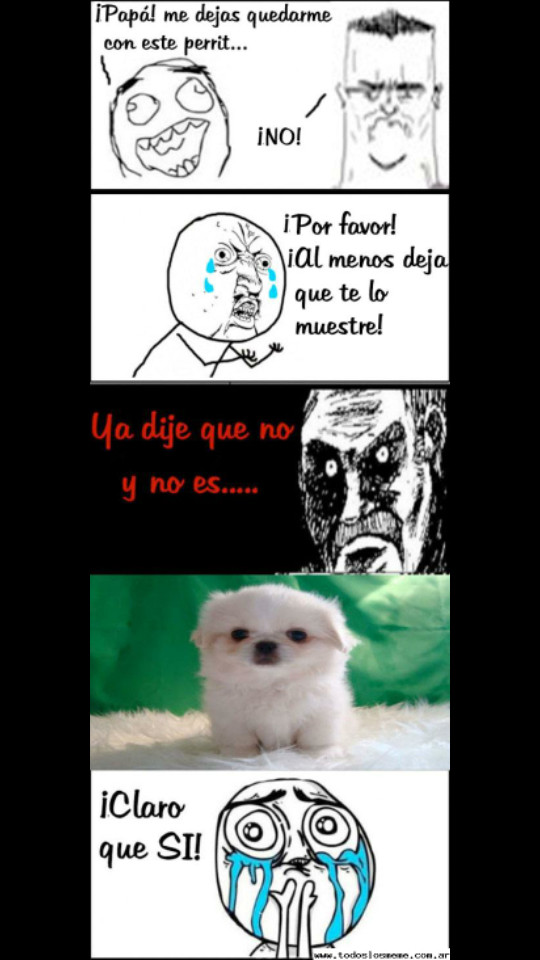 El titulo esta adoptando a un perro *-* - Meme subido por fjvg ...
