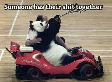 Living life correctly - Meme by Seizuregoat :) Memedroid