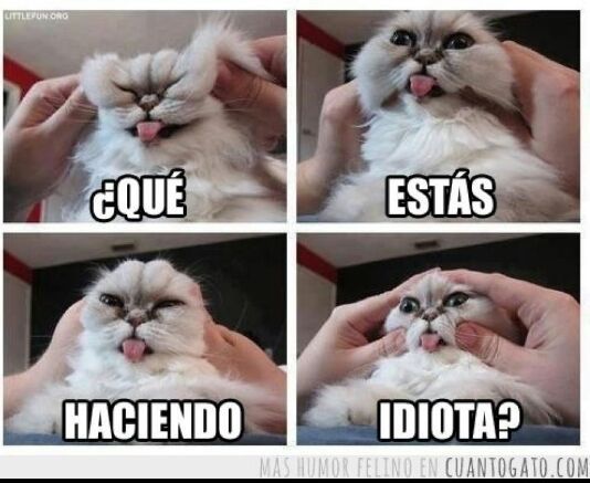 Moriras Memes Igual Moriras Meme By HaroOrozco :) Memedroid