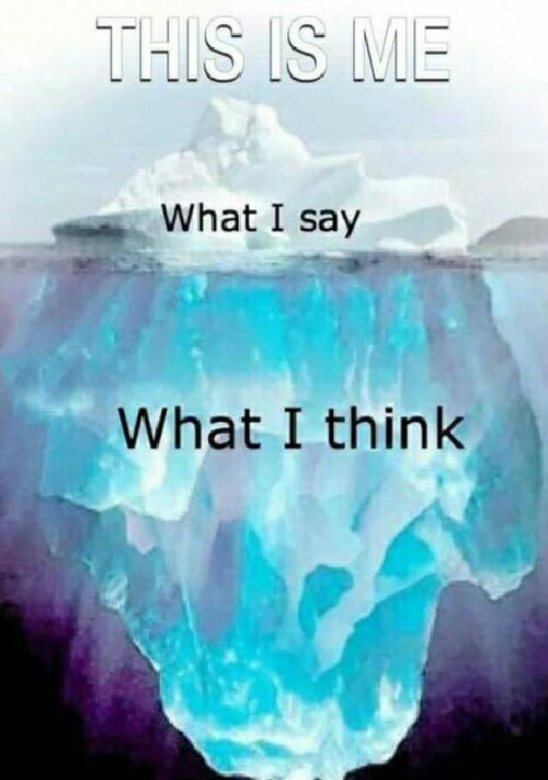 It's always the quiet one - Meme by Dinelka :) Memedroid