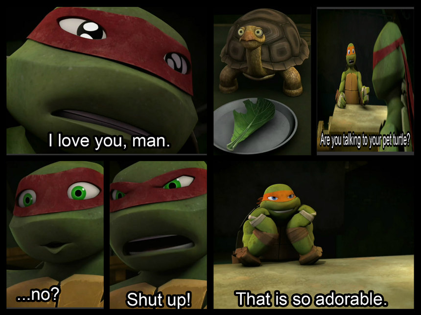 Funny Tmnt Memes 2012
