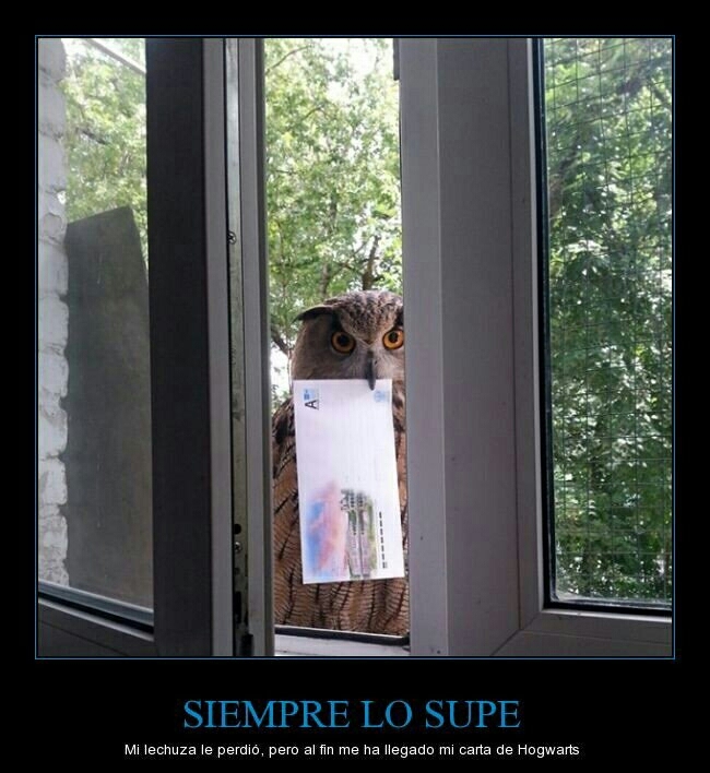 Lo sabía - Meme subido por rusky9 :) Memedroid