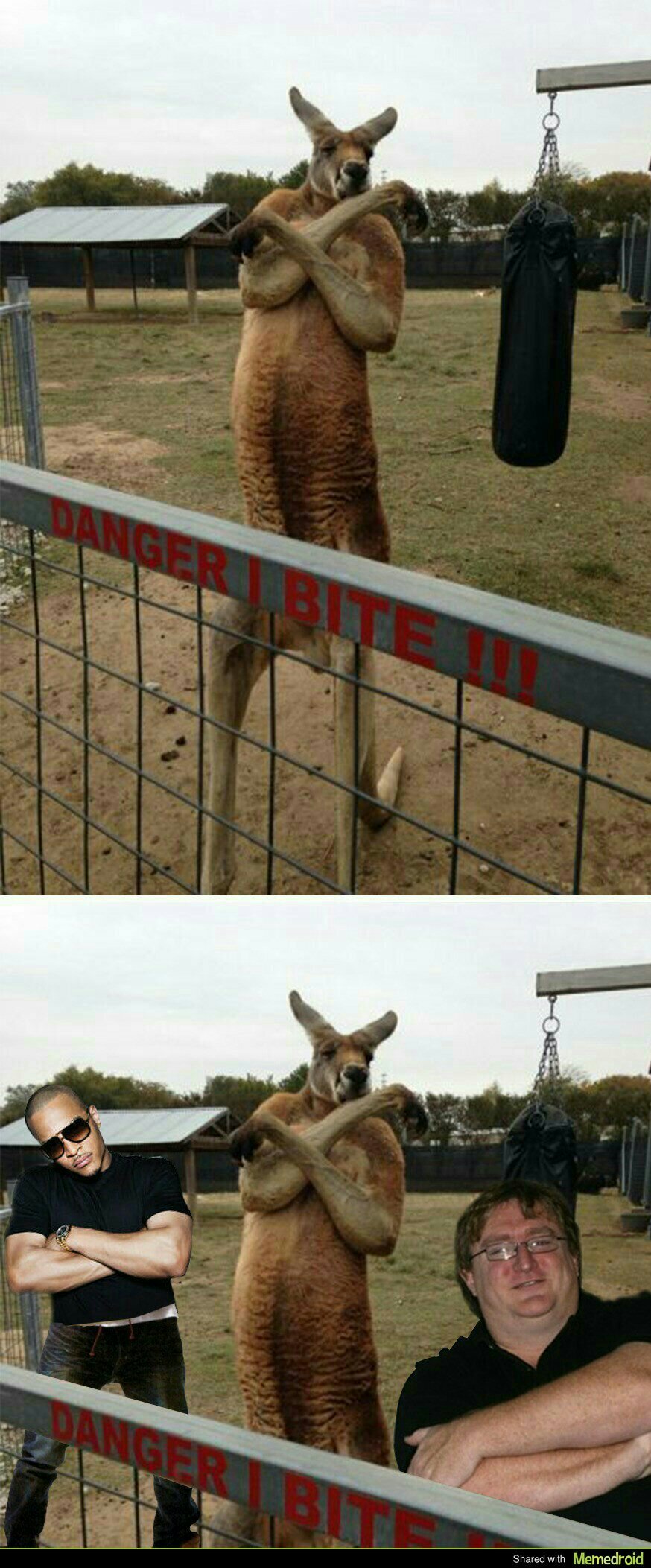 Jajajaja Canguro Gangster. Eso es demasiado SWAG - Meme subido por ...