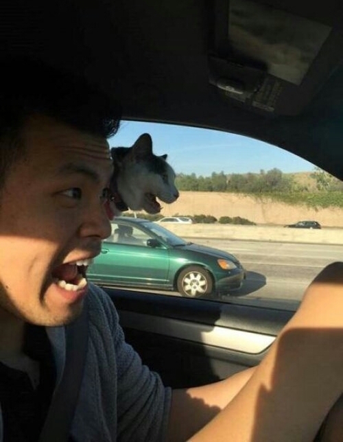 Aaahhh - Meme by LucaProGamer :) Memedroid