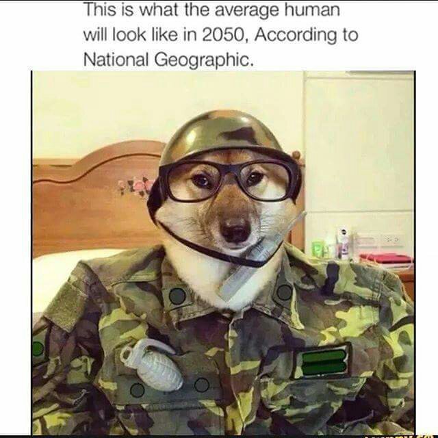 Looks good to me - Meme by NarwhalRage :) Memedroid