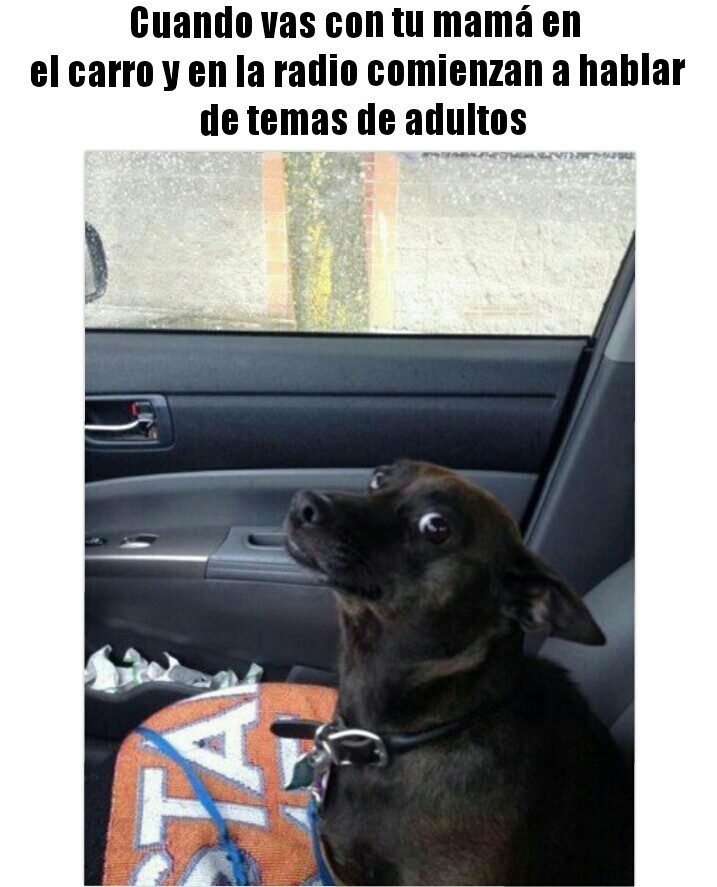 Muy incómodo - Meme subido por david010 :) Memedroid