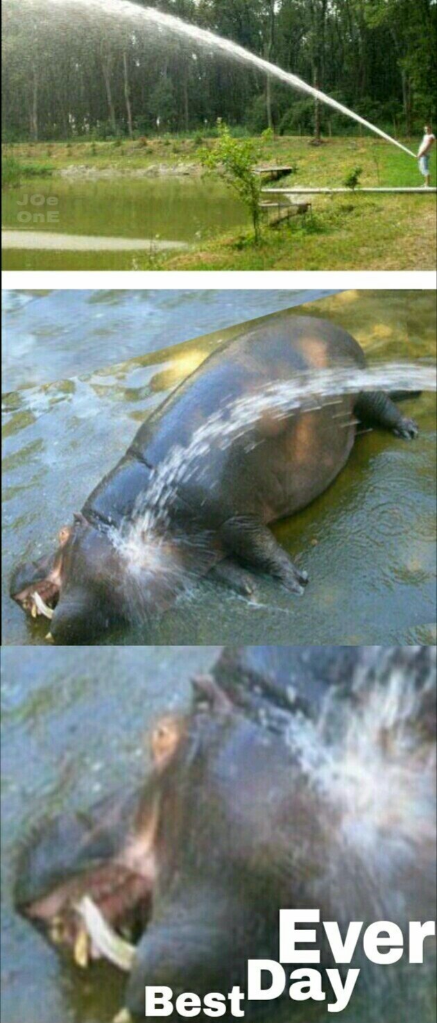 Best Day Ever! - Meme by N0ni :) Memedroid