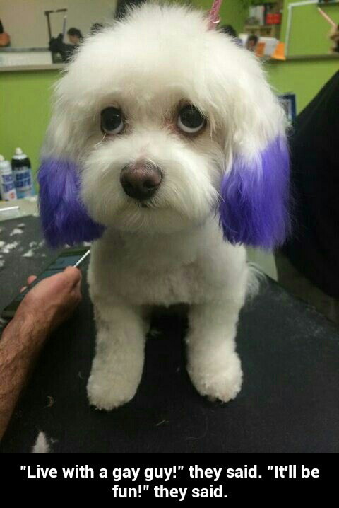 But MOOOOOM - Meme subido por soydolphin :) Memedroid