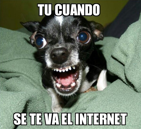 Chiguagua - Meme subido por Matiascaq :) Memedroid